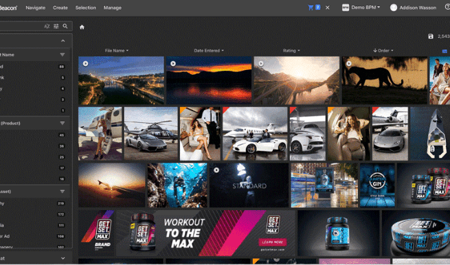The Ultimate List of Top Digital Asset Management Software Platforms