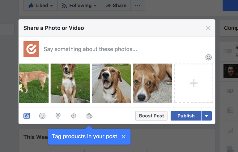 Create Effective Multi-Image Posts on Facebook and Twitter