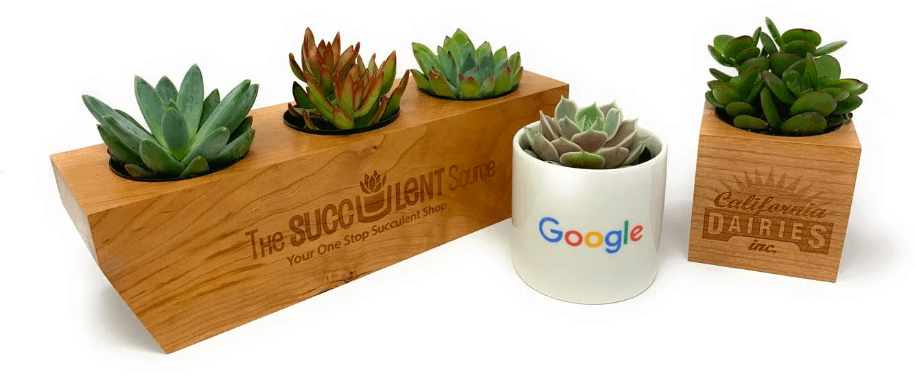 30 Best Company Swag Ideas To Deck Out Your Employees