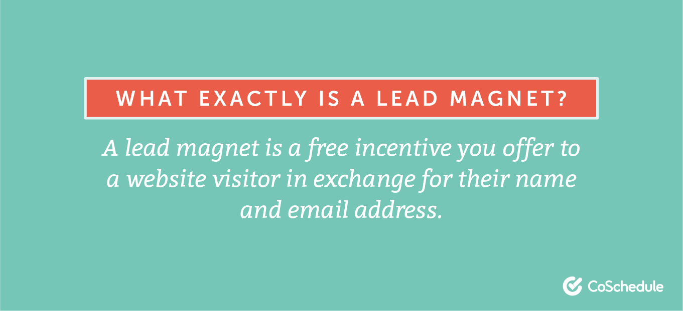 Lead Magnets: 50 Examples to Grow Your Email List