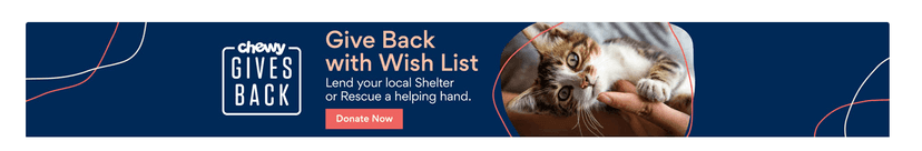 17 Types of Headlines Every Writer Needs to Know