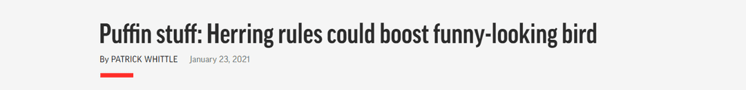 17 Types of Headlines Every Writer Needs to Know