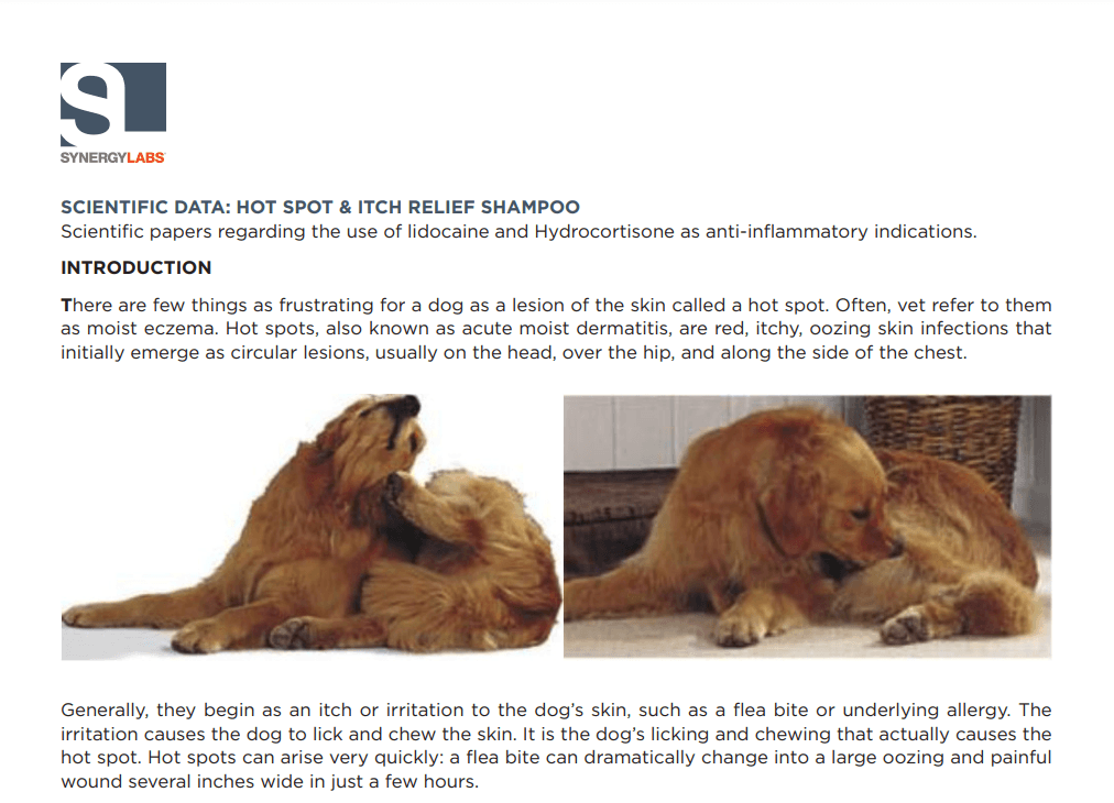 What Are White Papers? Purpose, Definition, Types, & History