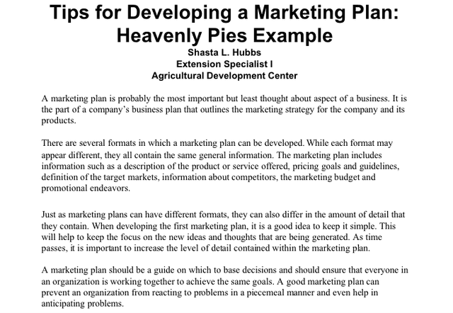 38 Marketing Plan Examples, Samples, & Templates
