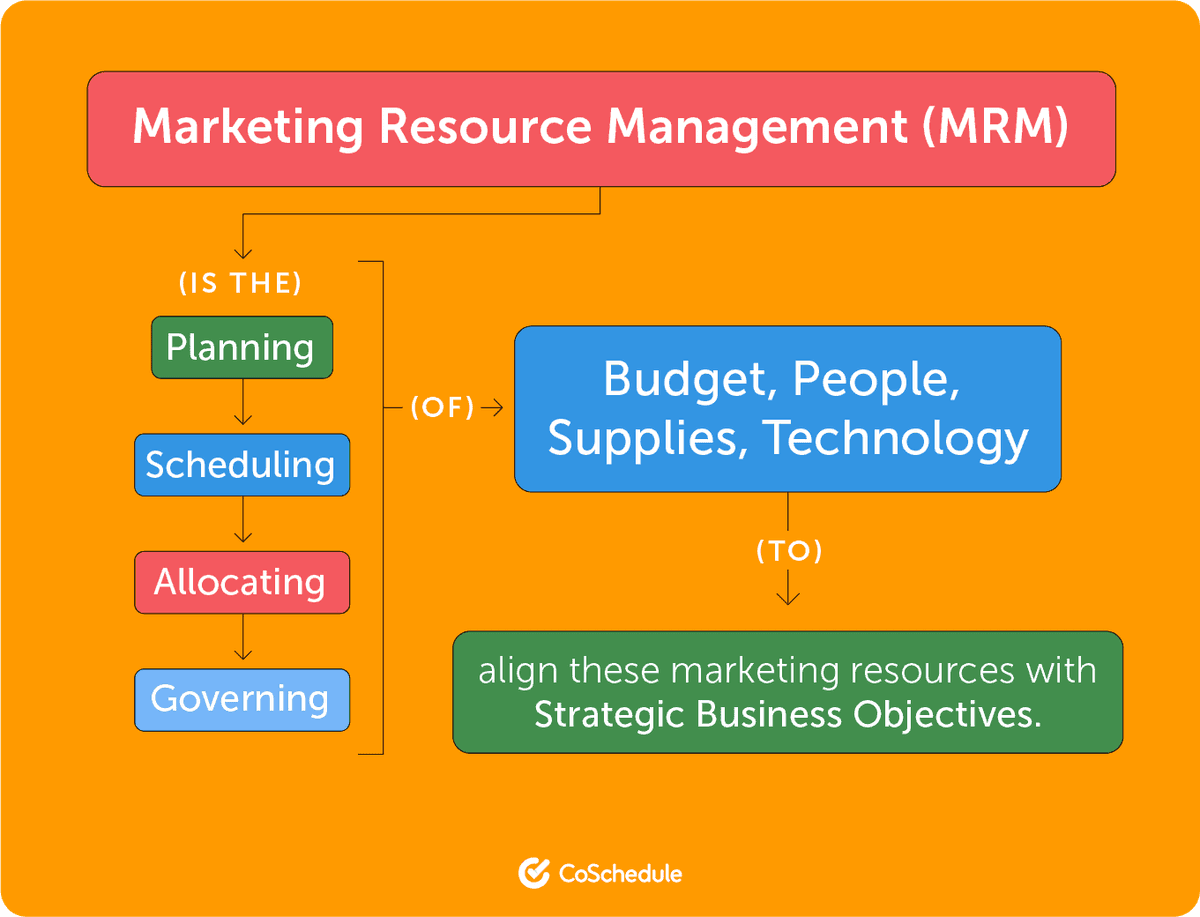 Marketing Management: Definitions, Disciplines, & Types