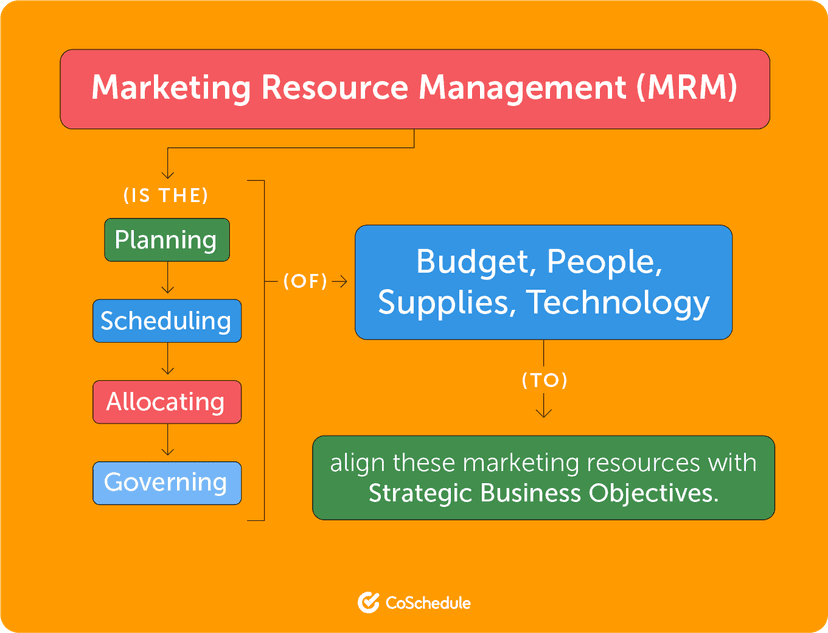 Marketing Management: Definitions, Disciplines, & Types