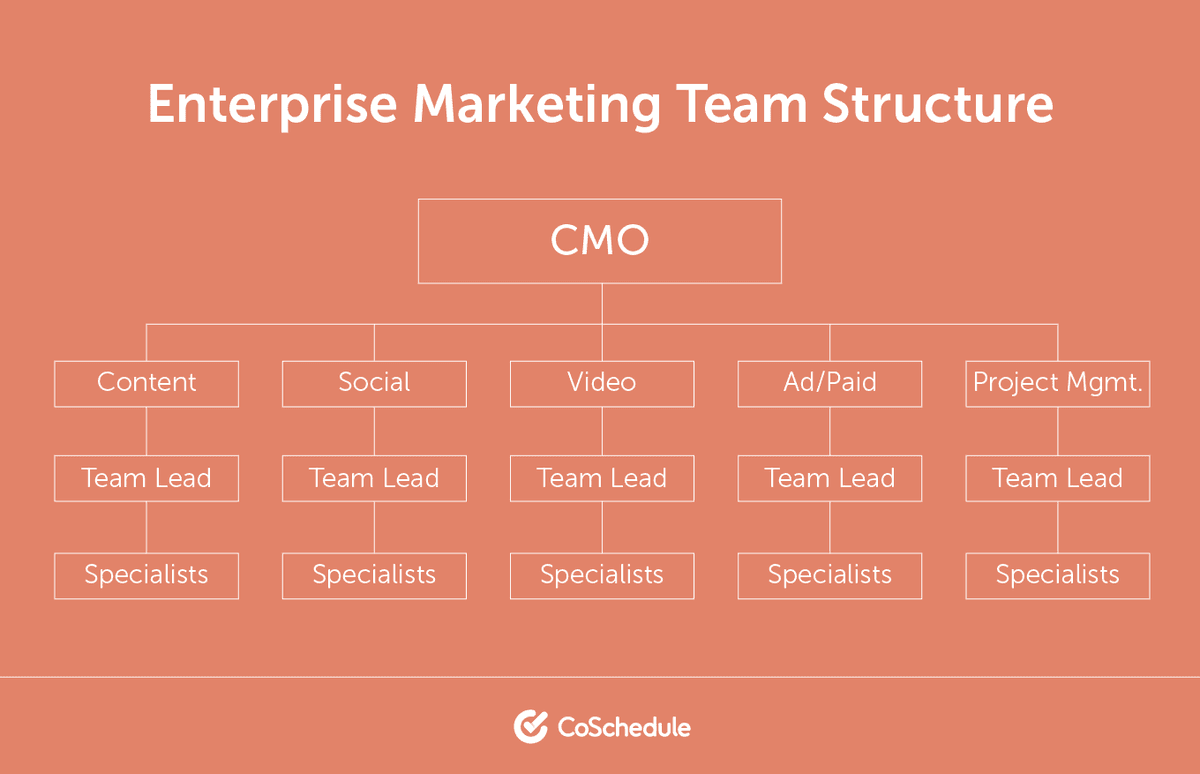 Marketing Department: Definition, Roles, Benefits, & Structure