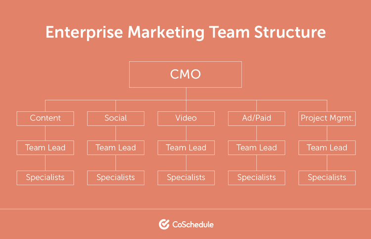 Marketing Department: Definition, Roles, Benefits, & Structure