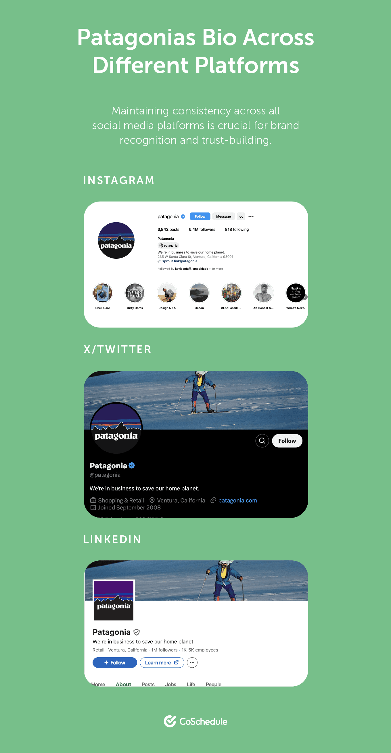 How To Craft The Perfect Social Media Bio