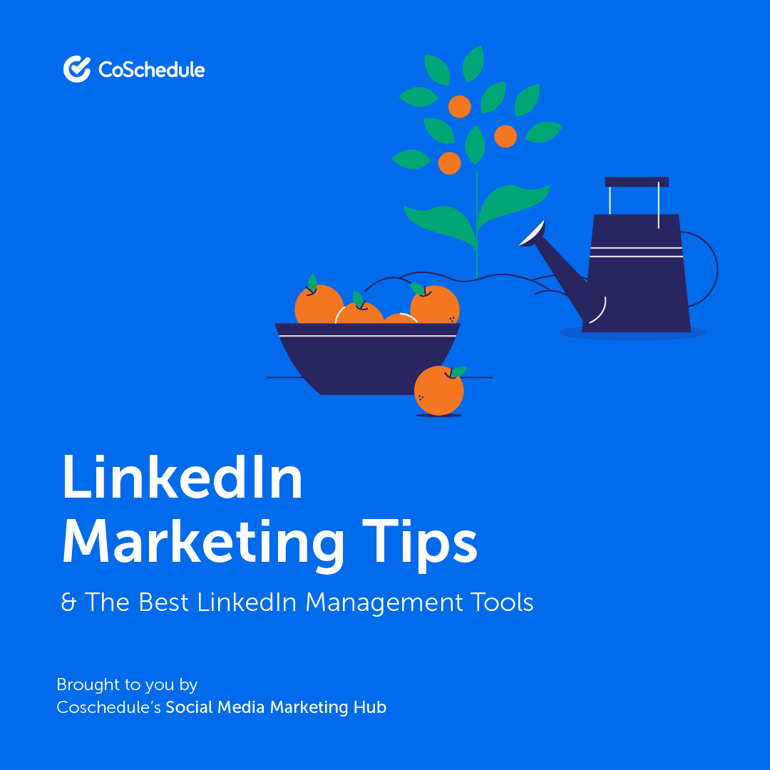 LinkedIn Marketing Tips & The Best LinkedIn Management Tools