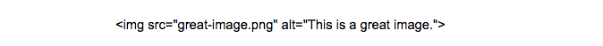 What is an Alt Tag - Definition and Examples - CoSchedule